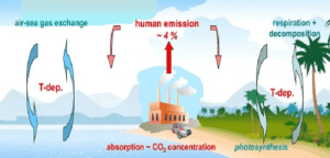 Man-made contribution to carbon dioxide in the atmosphere is just 4.3% ...